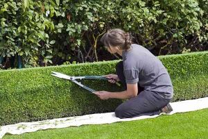 How to Cut Grass Without a Lawn Mower (6 Alternatives)