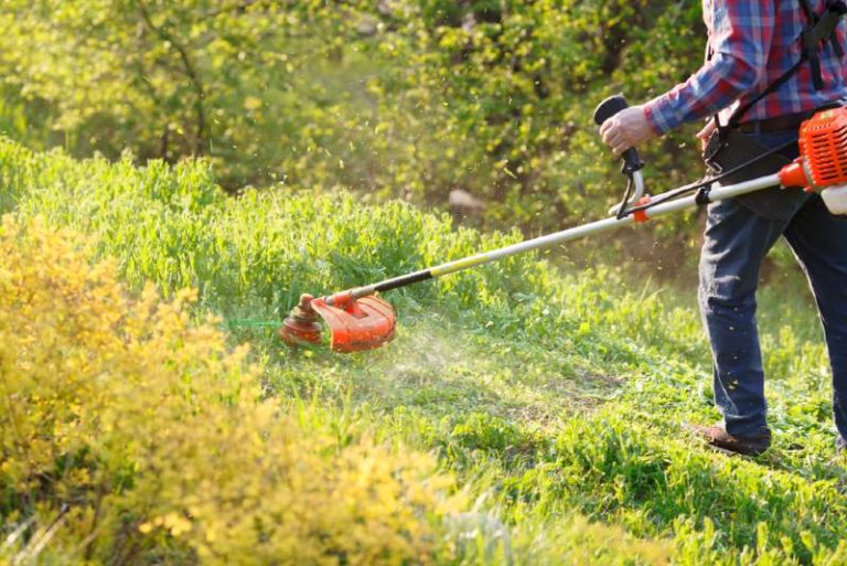 How to Cut Grass Without a Lawn Mower (6 Alternatives)